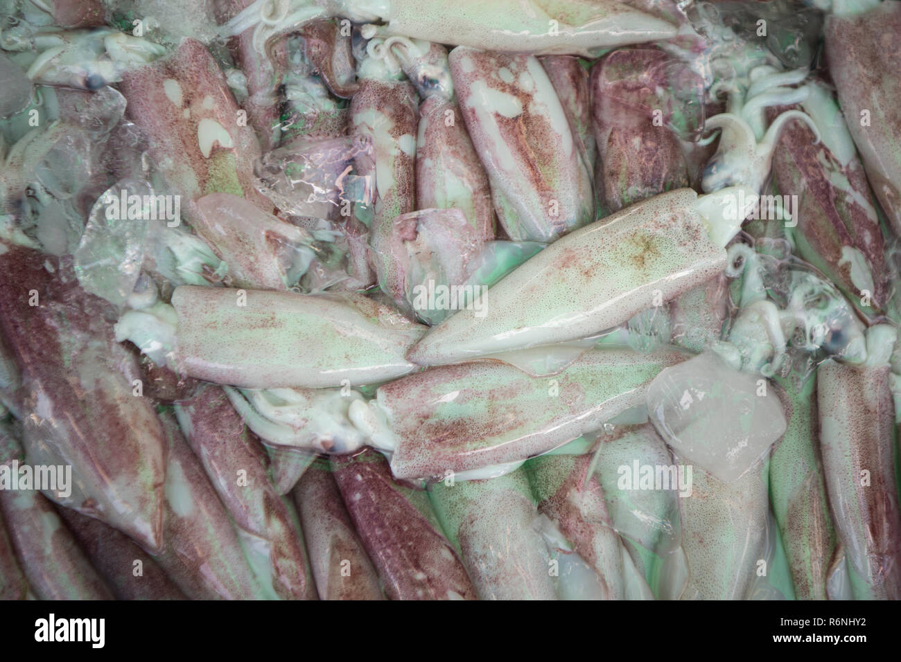 THAILAND CHONBURI ANG SILA FISH MARKET Stock Photo - Alamy