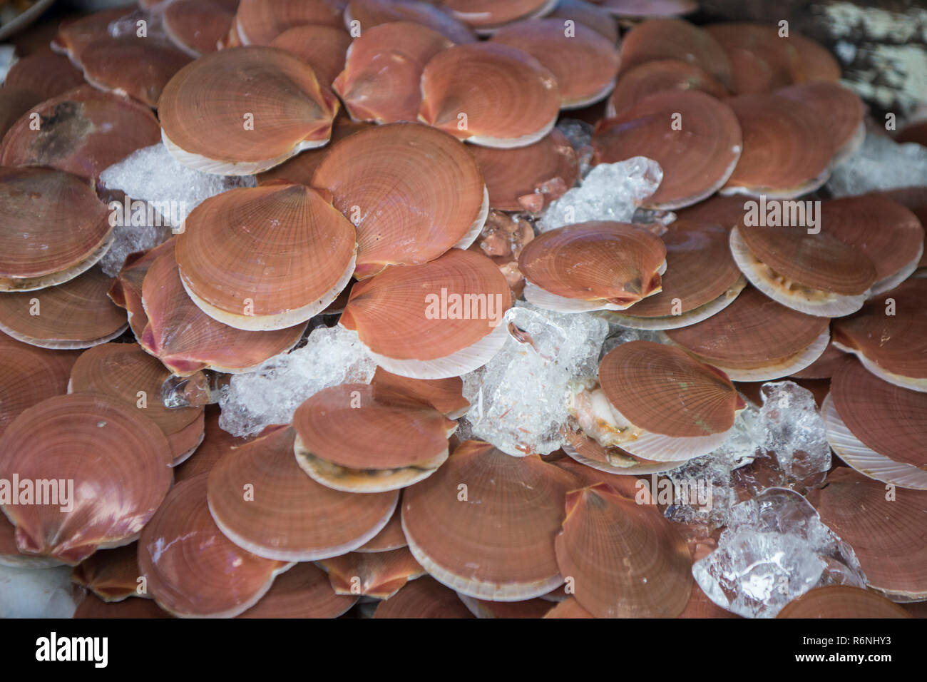 Bang saen thailand seafood hi-res stock photography and images - Alamy
