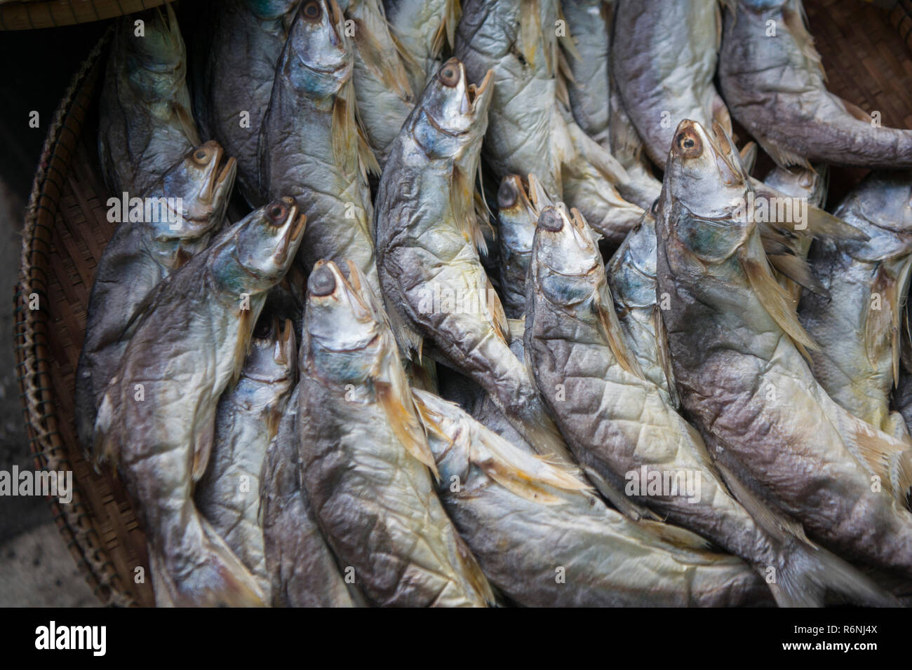THAILAND CHONBURI ANG SILA FISH MARKET Stock Photo - Alamy