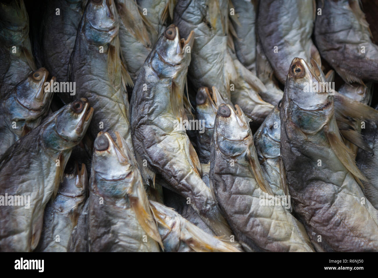 Ang sila hi-res stock photography and images - Alamy