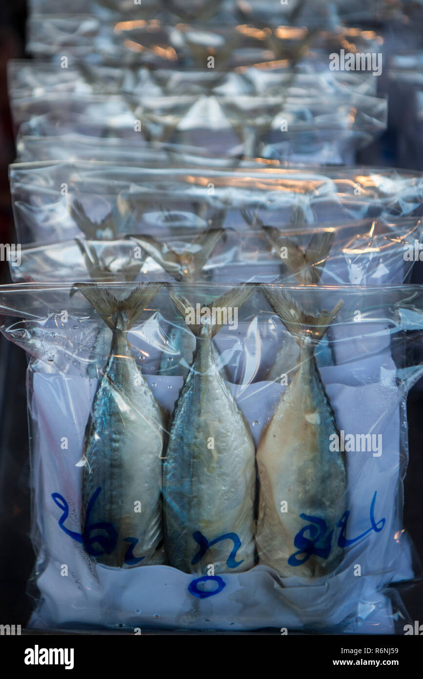 Sila Stock Photos & Sila Stock Images - Alamy