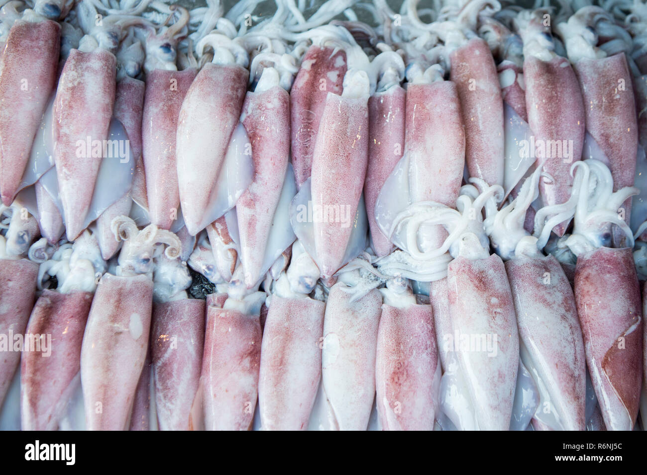 THAILAND CHONBURI ANG SILA FISH MARKET Stock Photo - Alamy