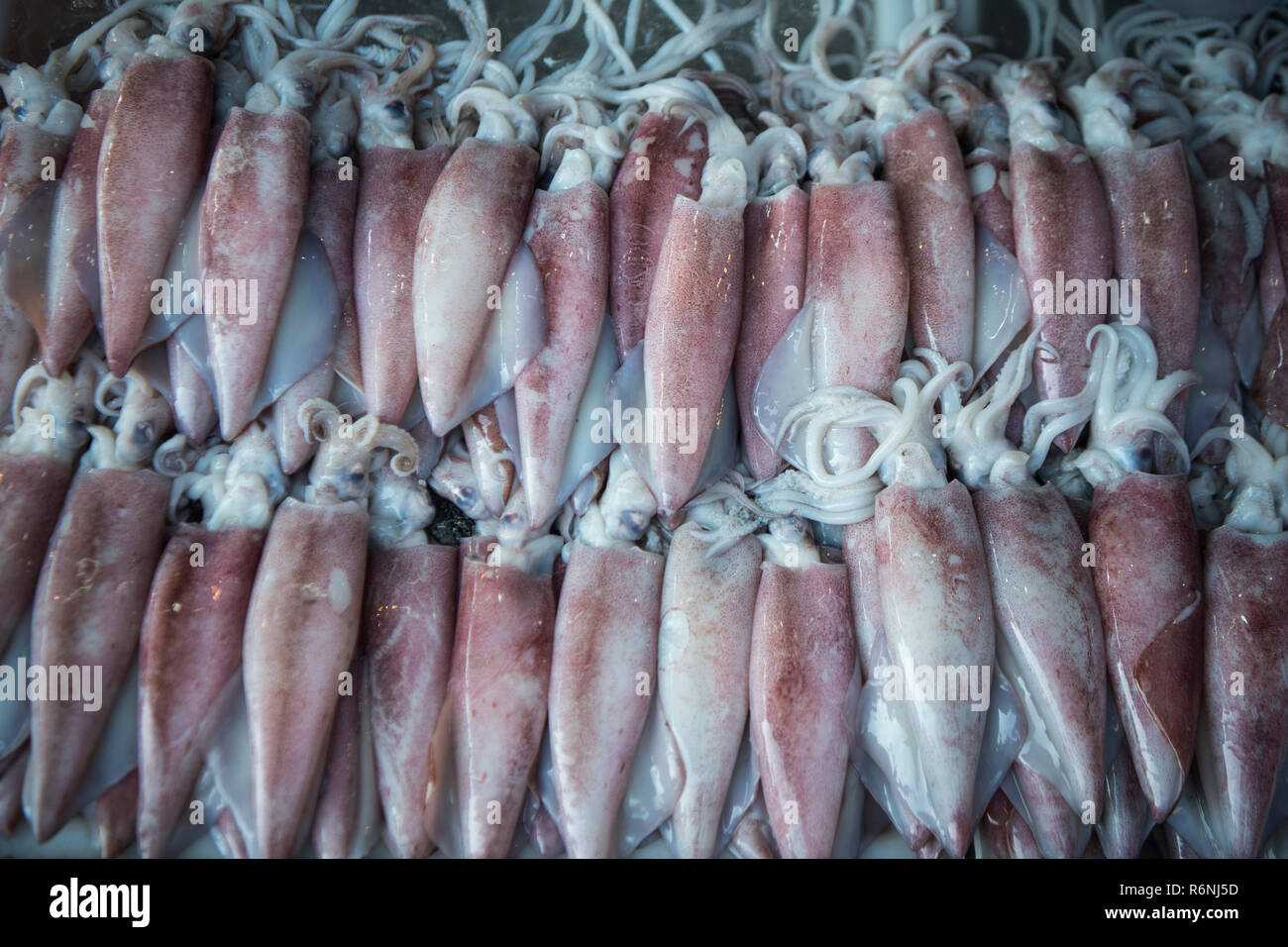 THAILAND CHONBURI ANG SILA FISH MARKET Stock Photo - Alamy