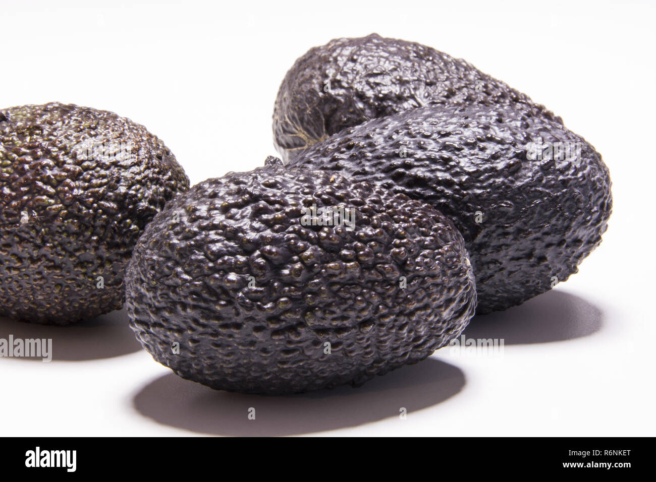 Avocado aguacate black white hi-res stock photography and images - Alamy