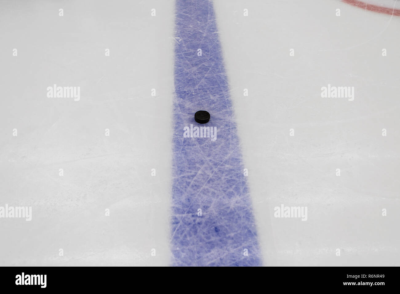 blue line with puck on ice hockey rink Stock Photo - Alamy