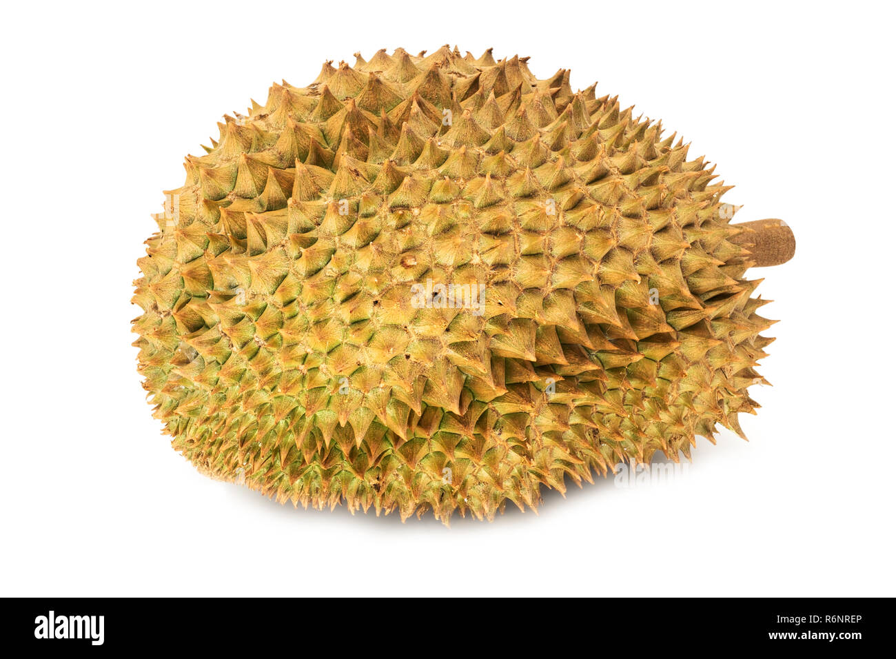 Durian frucht hi-res stock photography and images - Alamy