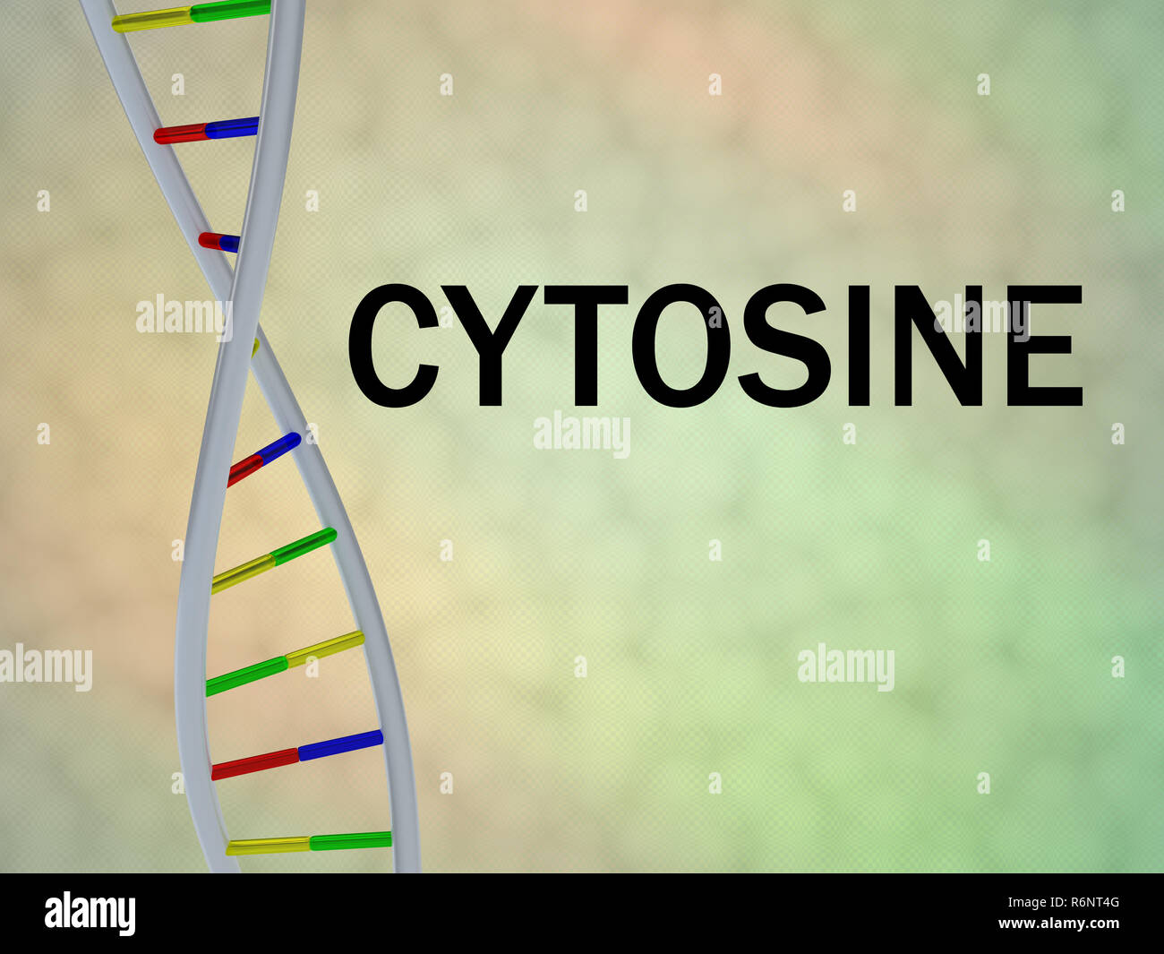 Cytosine hi-res stock photography and images - Alamy