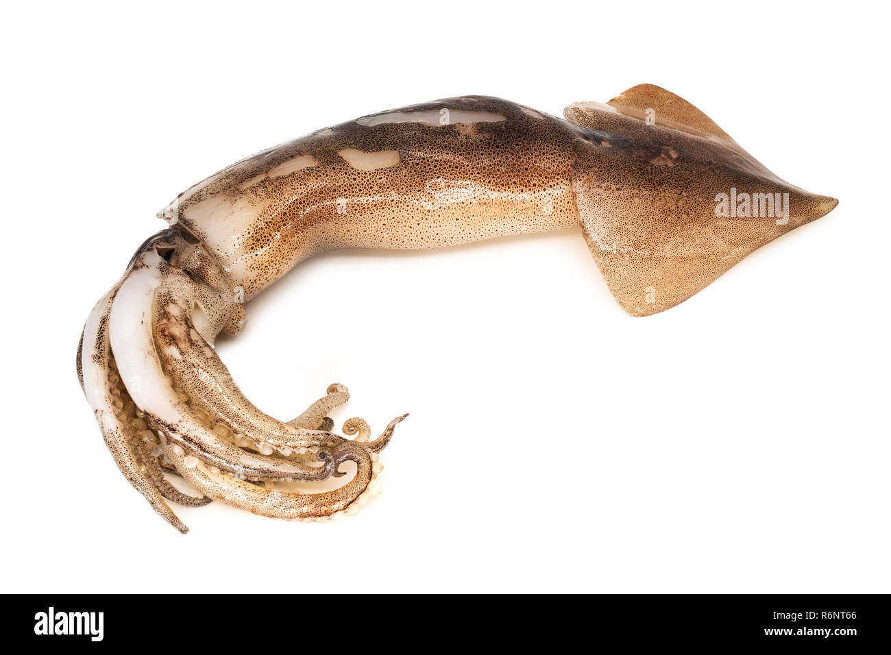 Klammre hi-res stock photography and images - Alamy