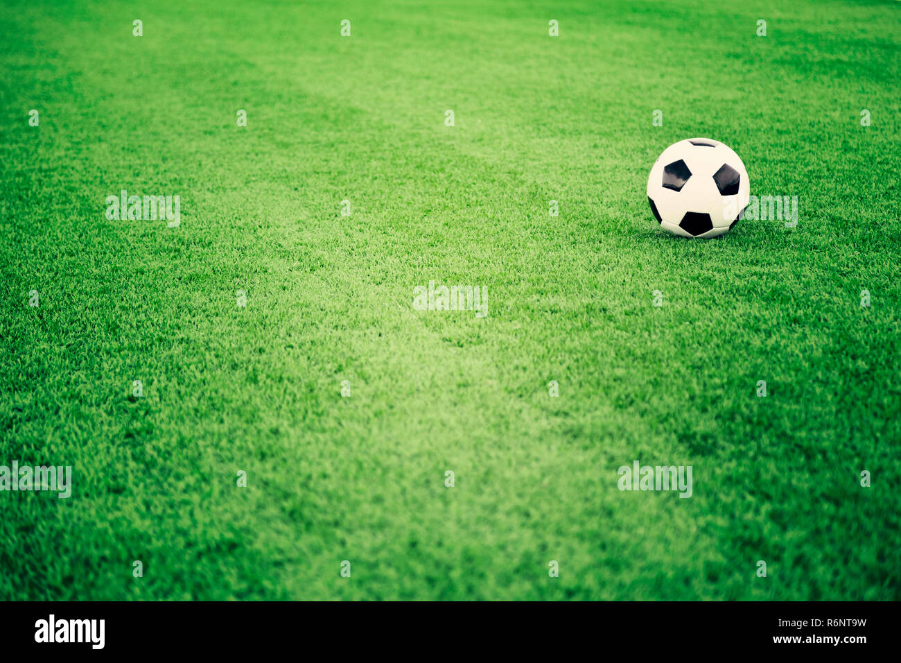 Soccer ball on grass field Stock Photo - Alamy