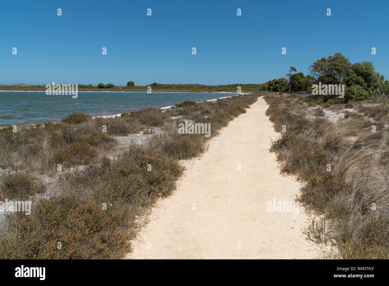 Thetis lake park hi-res stock photography and images - Alamy