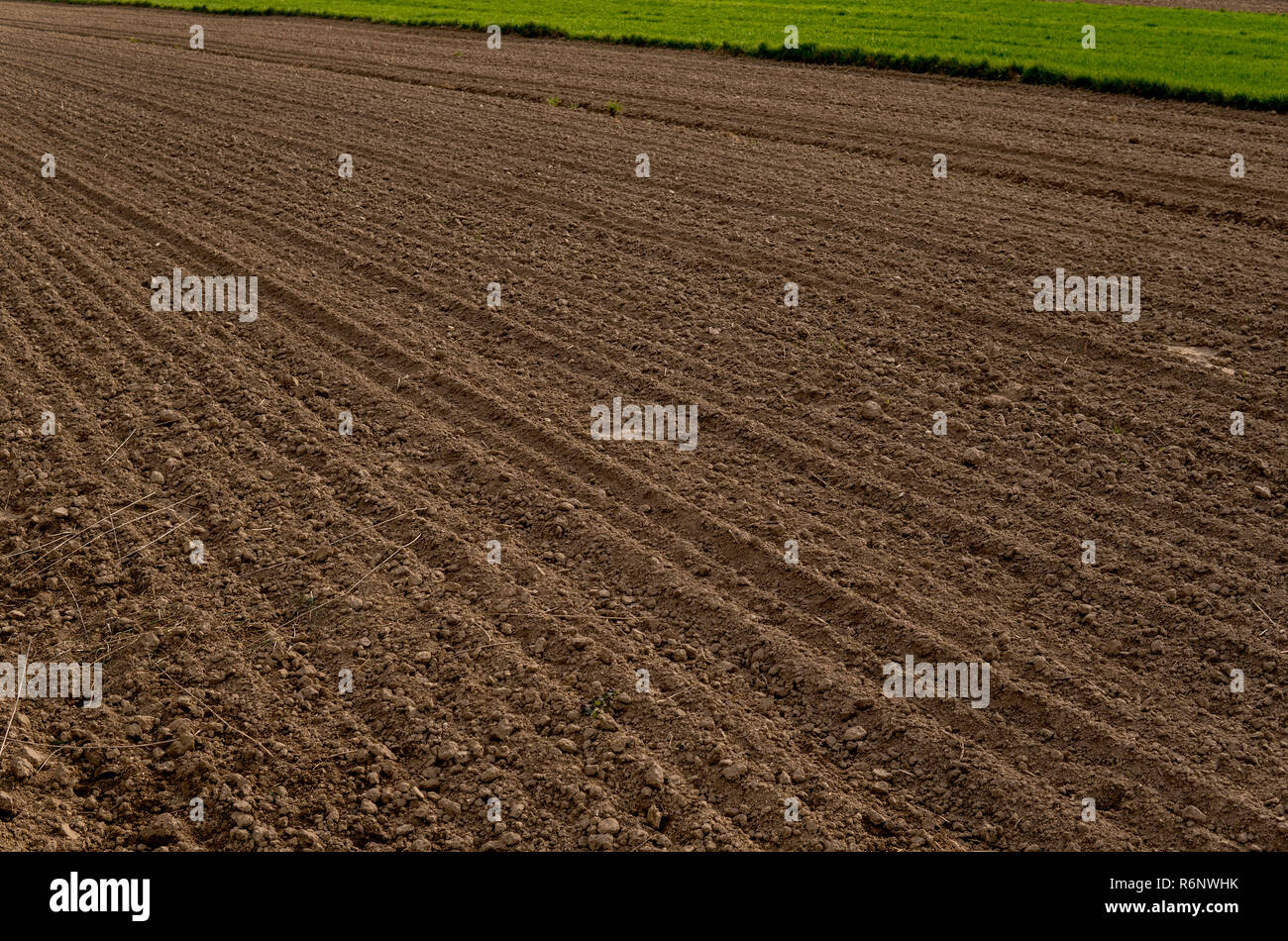 Hop field dirt hi-res stock photography and images - Alamy