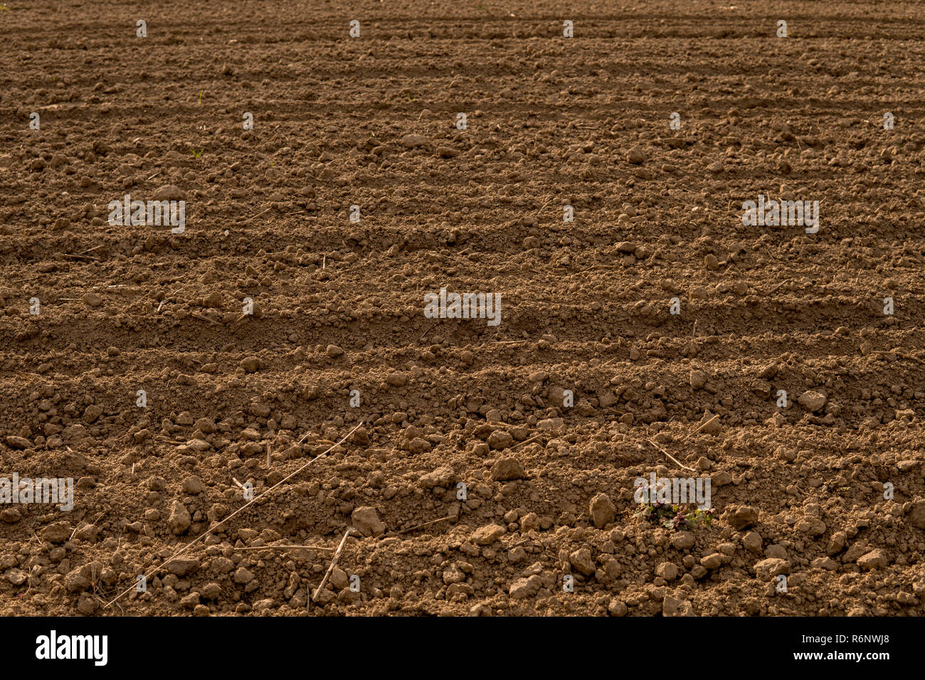 Hop field dirt hi-res stock photography and images - Alamy