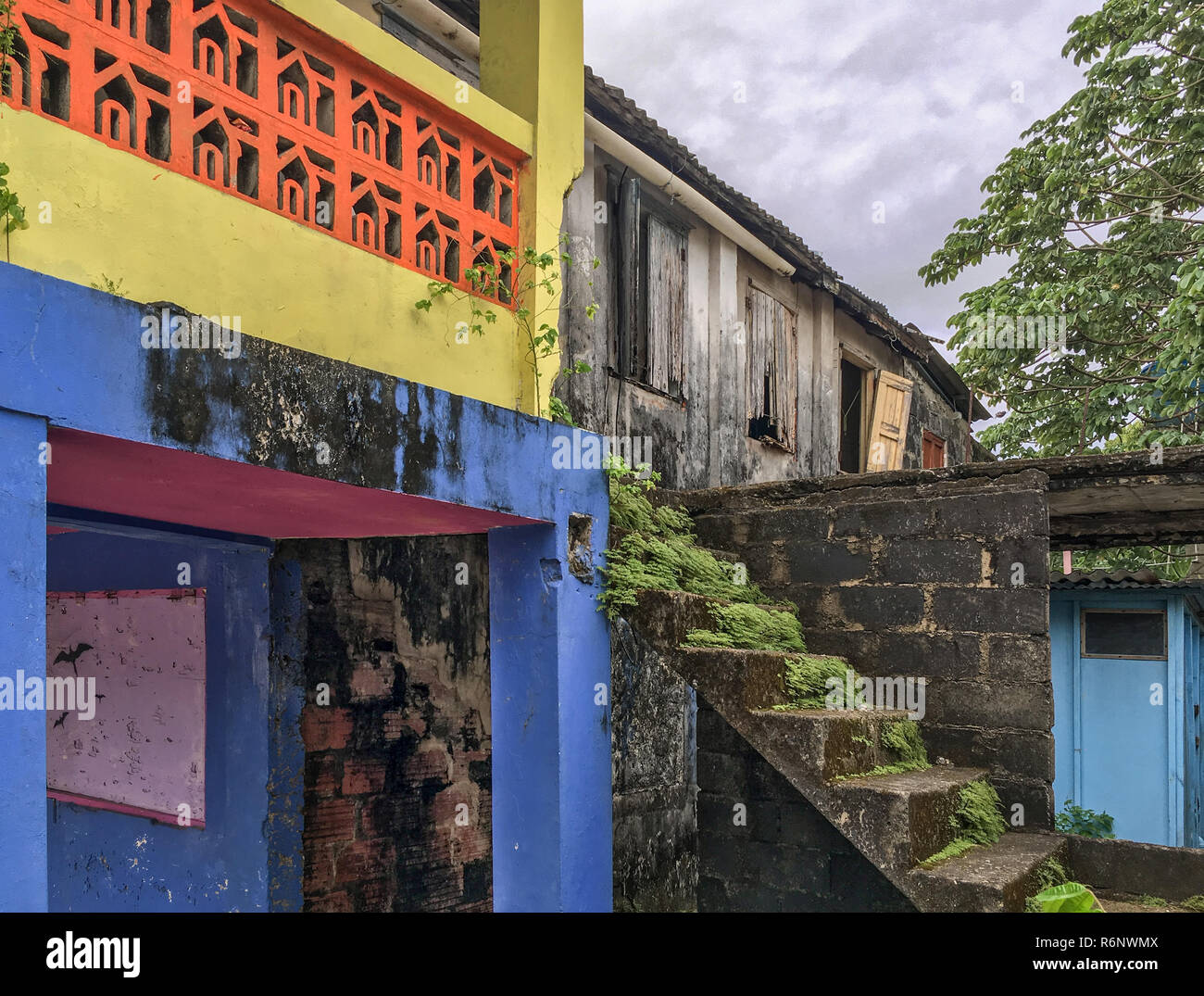 Weed panama hi-res stock photography and images - Alamy