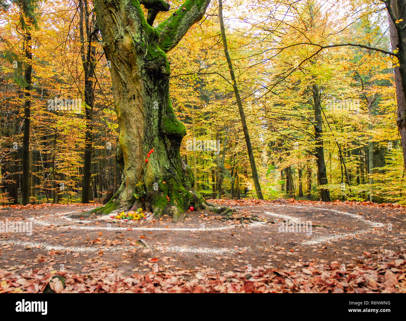 Sipral hi-res stock photography and images - Alamy