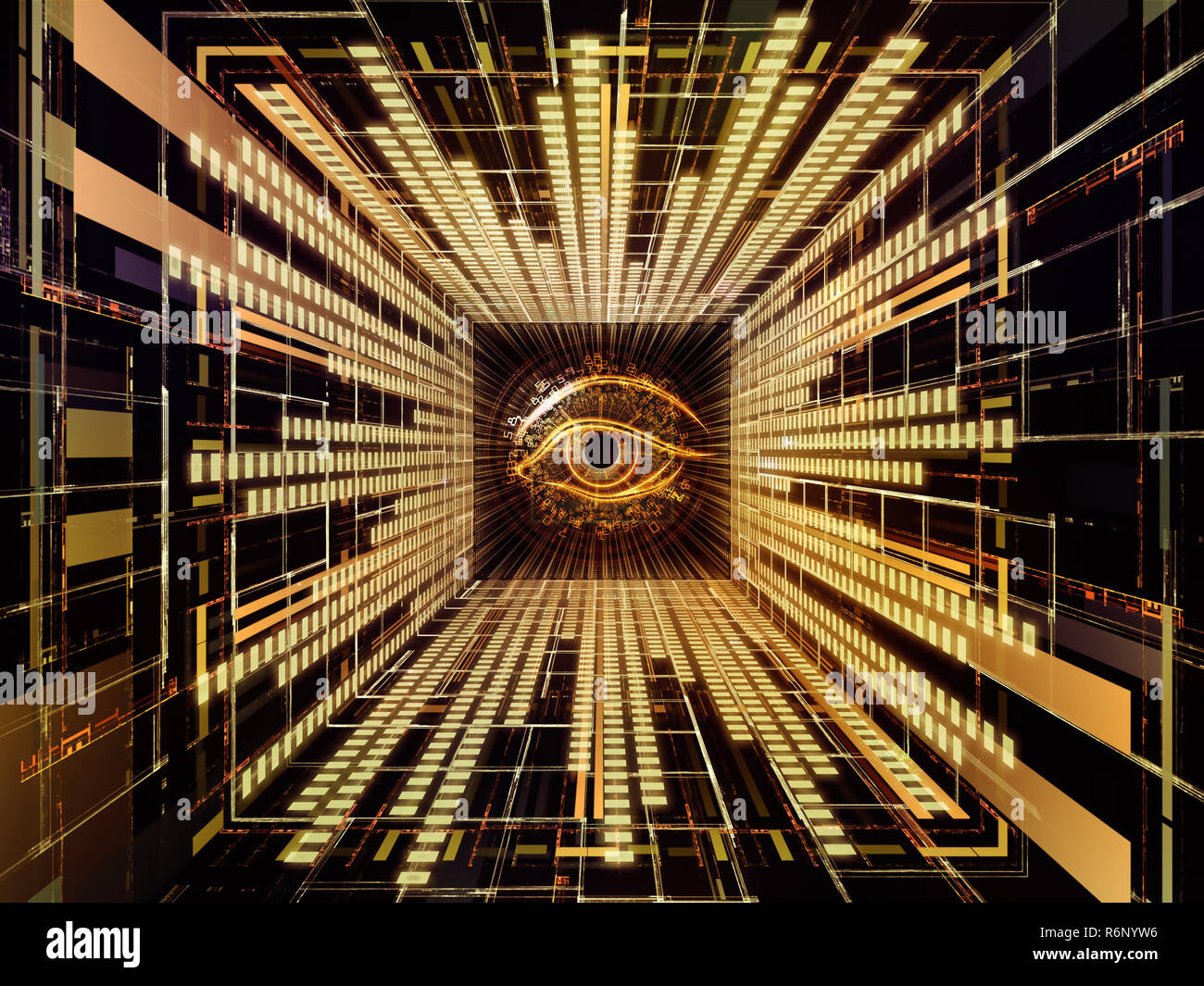 Observation Evolution Stock Photo - Alamy