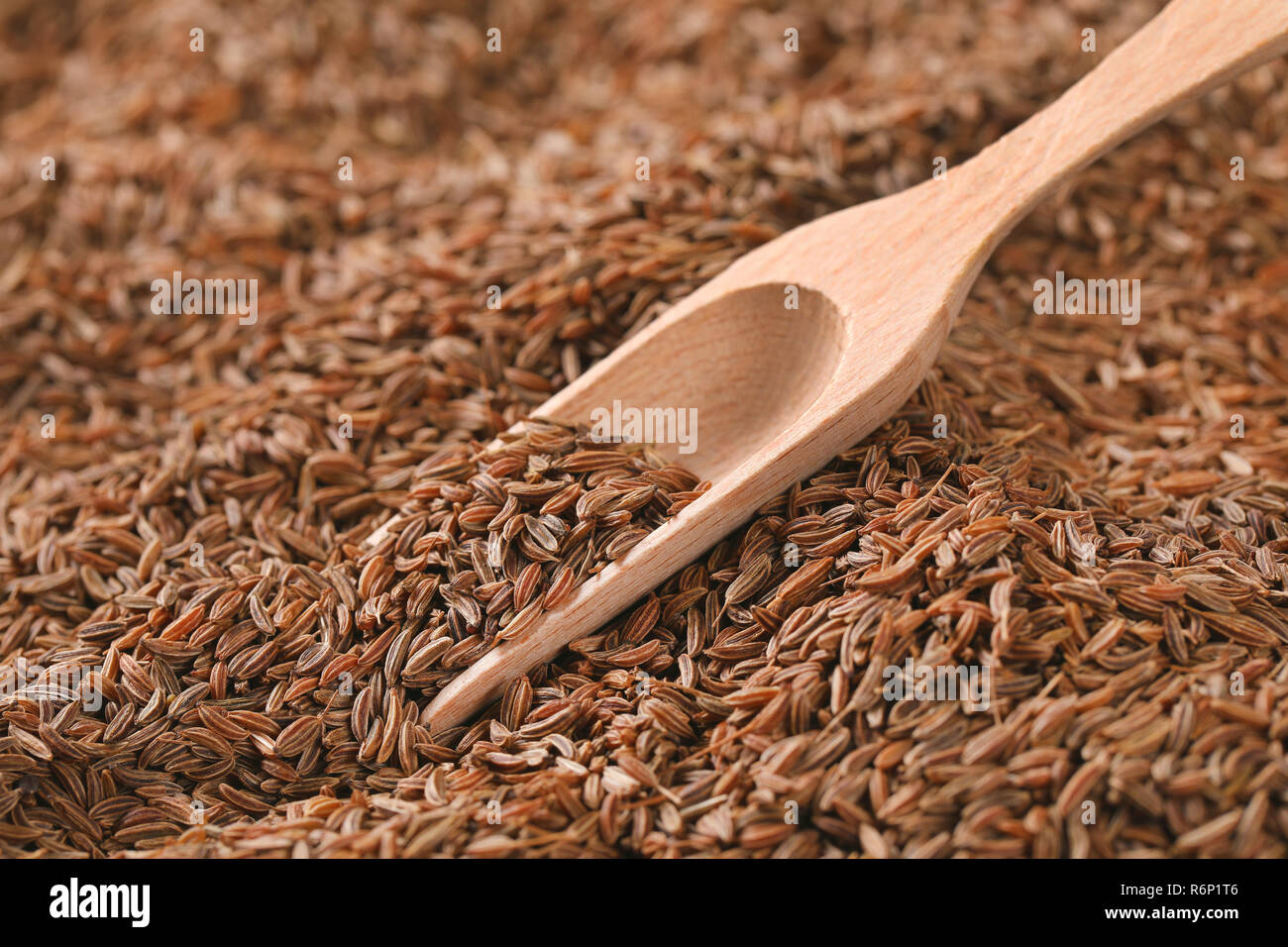 scoop of caraway seeds Stock Photo - Alamy