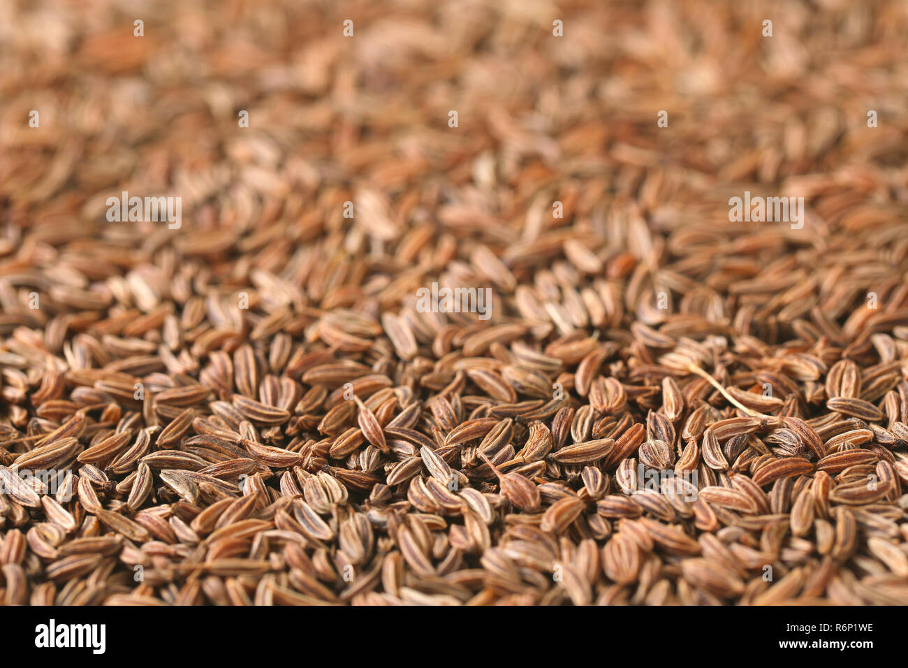 detail of caraway seeds Stock Photo - Alamy