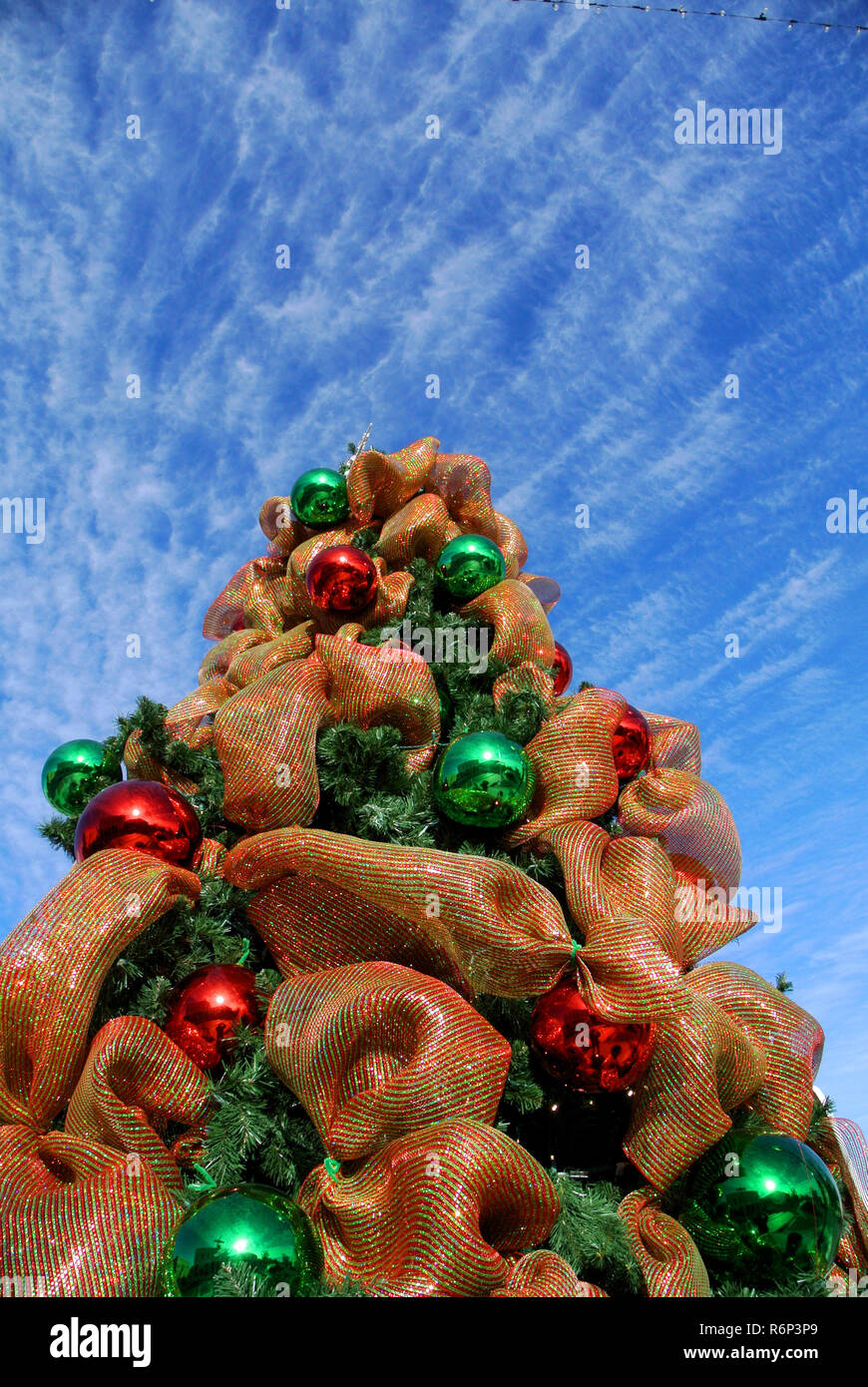 Texas christmas tree hi-res stock photography and images - Alamy
