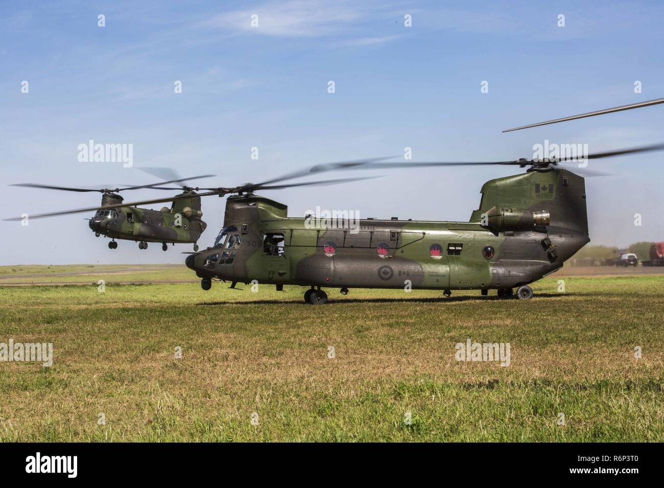 2 CH-147F Chinooks with the Royal Canadian Air Force land at a forward ...