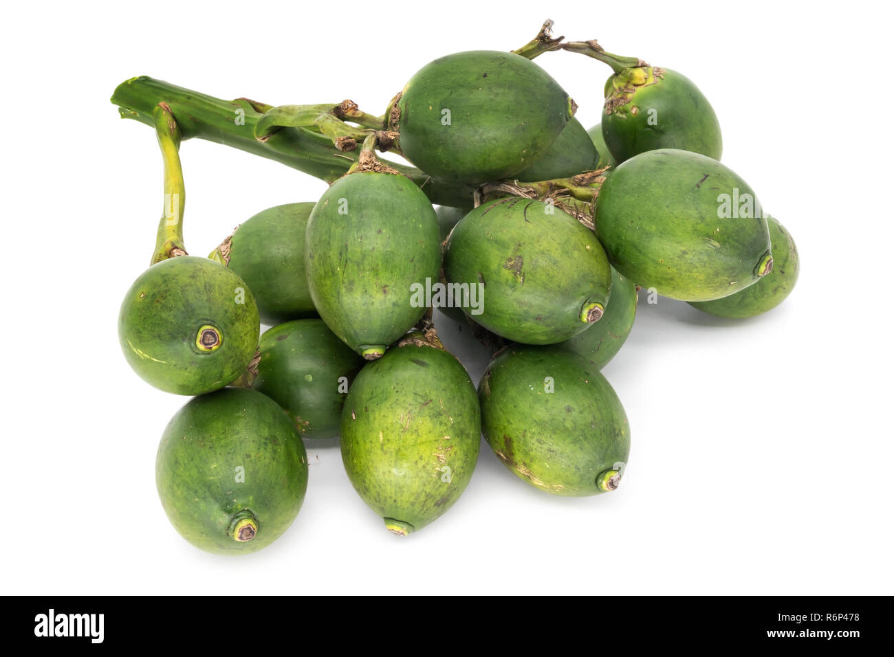 Betel nut Cut Out Stock Images & Pictures - Alamy