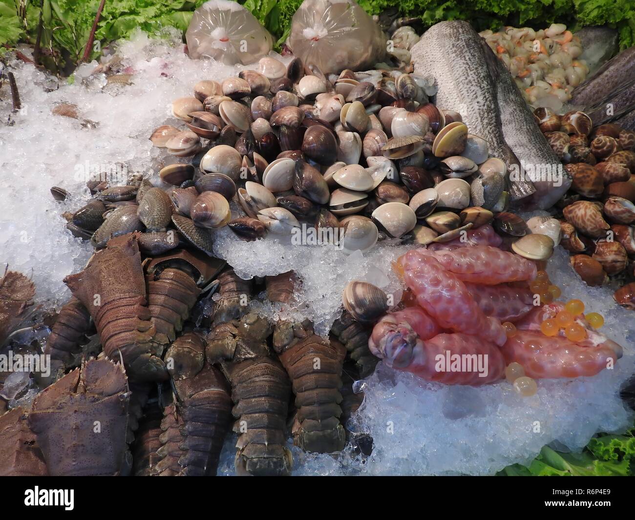 shrimp,lobster,crayfish,clams and squid at a thai market Stock Photo ...