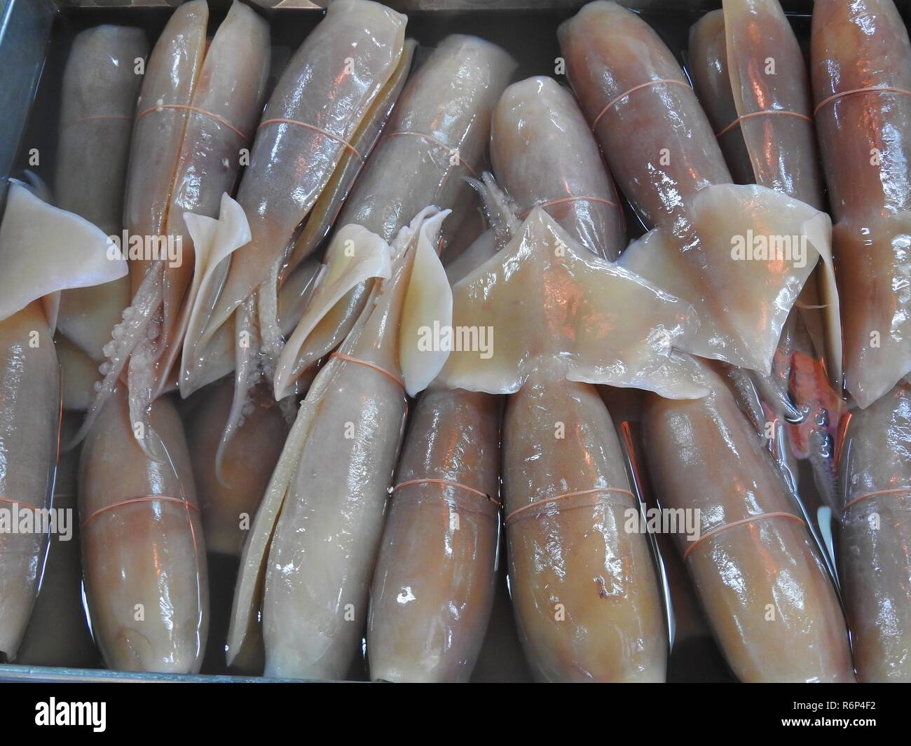 shrimp,lobster,crayfish,clams and squid at a thai market Stock Photo ...