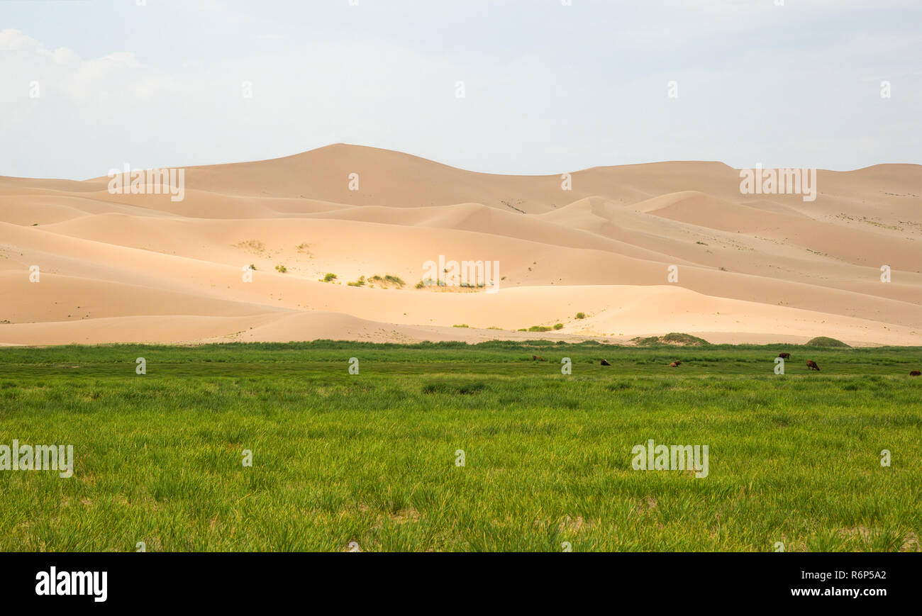 Movement of sand dunes Stock Photo - Alamy