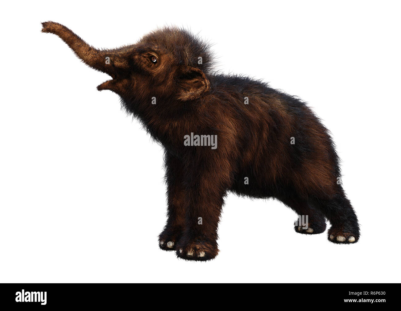 3D Rendering Baby Woolly Mammoth on White Stock Photo - Alamy