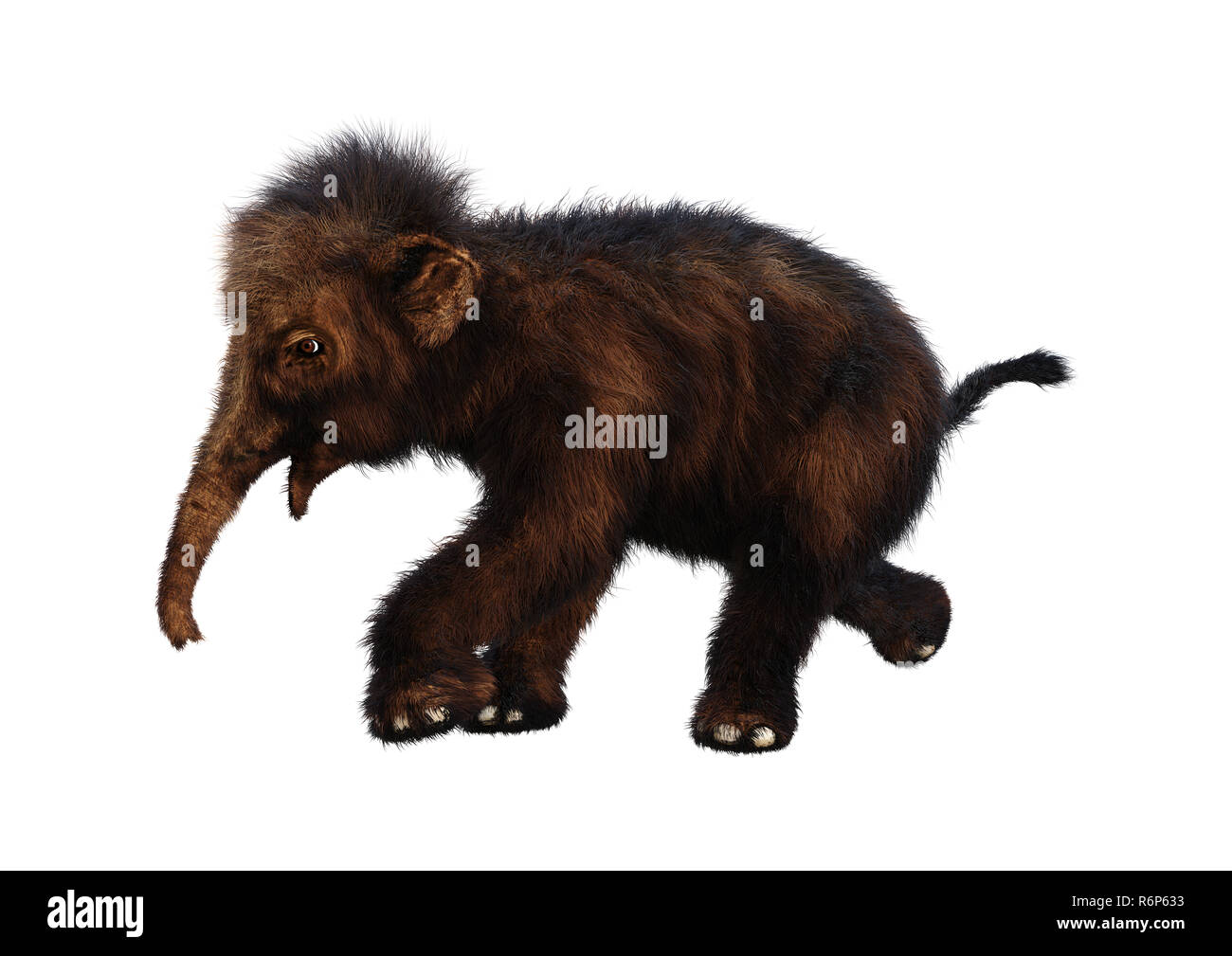 Baby woolly mammoth hi-res stock photography and images - Alamy