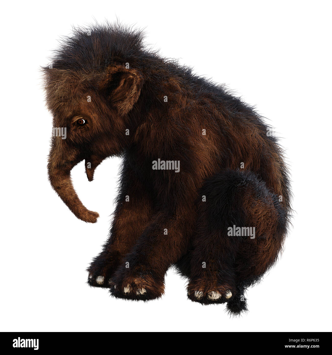 3D Rendering Baby Woolly Mammoth on White Stock Photo - Alamy