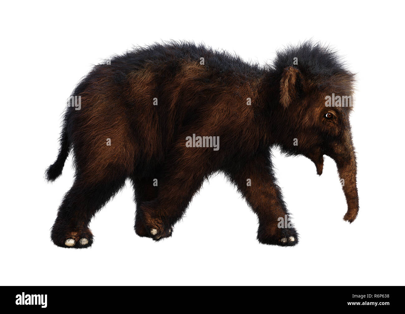 3D Rendering Baby Woolly Mammoth on White Stock Photo - Alamy