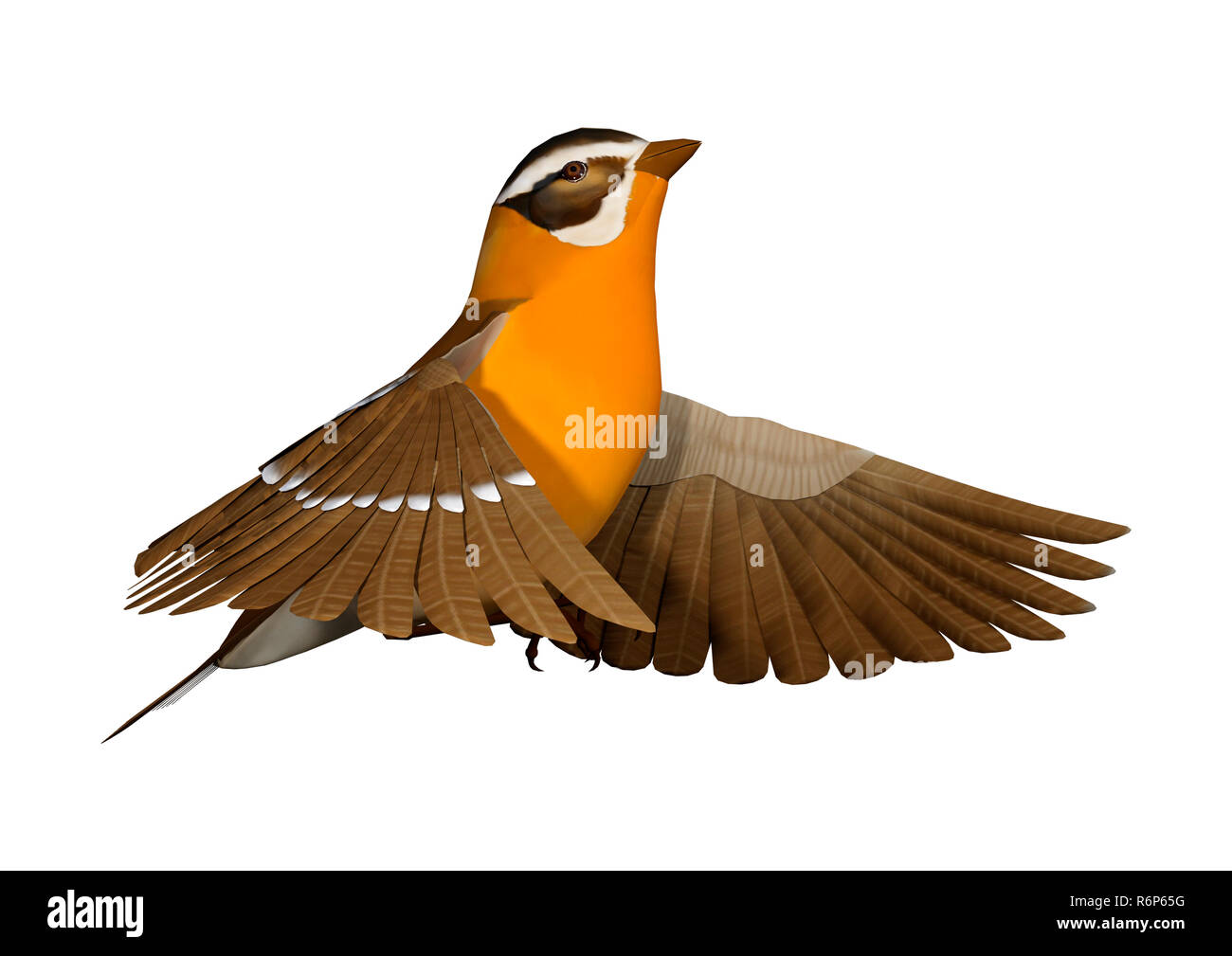 Grosbeak flying hi-res stock photography and images - Alamy