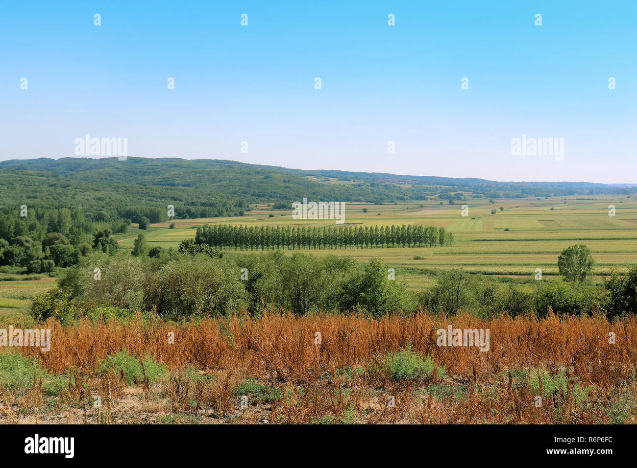 Summer countryside landscape Stock Photo - Alamy