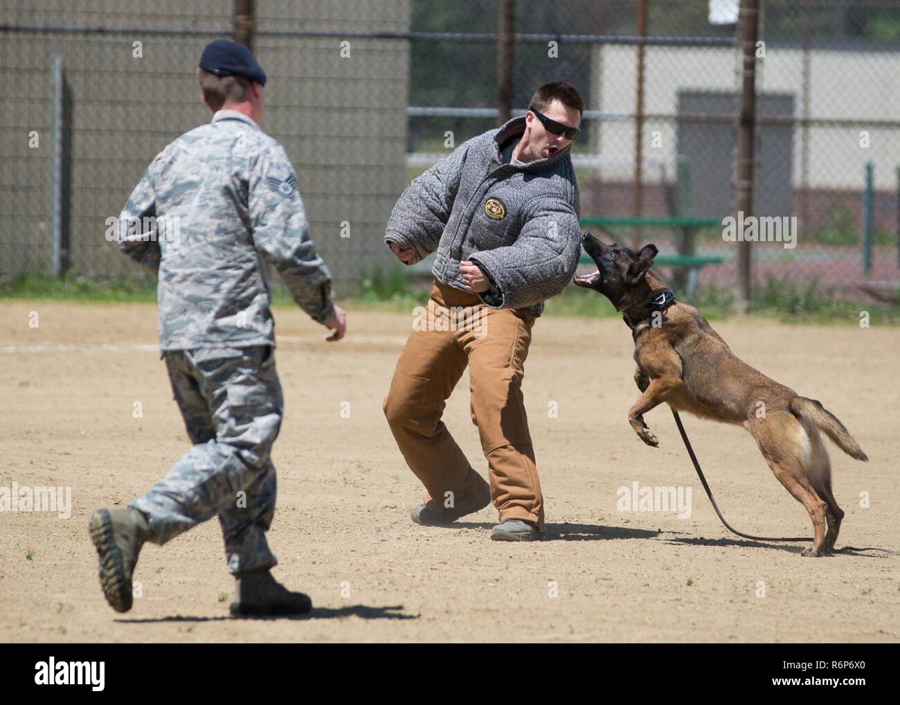 Staff Sgt. Adam Dunnam, 66th Security Forces Squadron Military Working ...