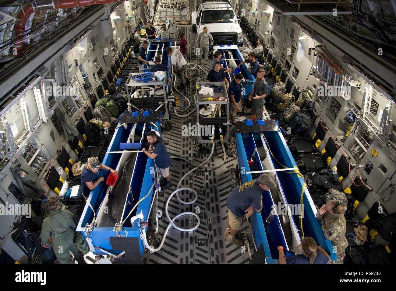 U.S. Navy Marine Mammal Program dolphin trainers tend to their dolphins ...