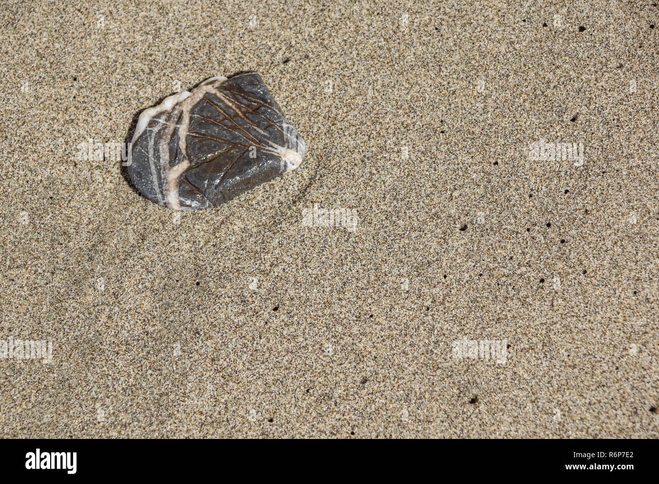 stones on a beach Stock Photo - Alamy
