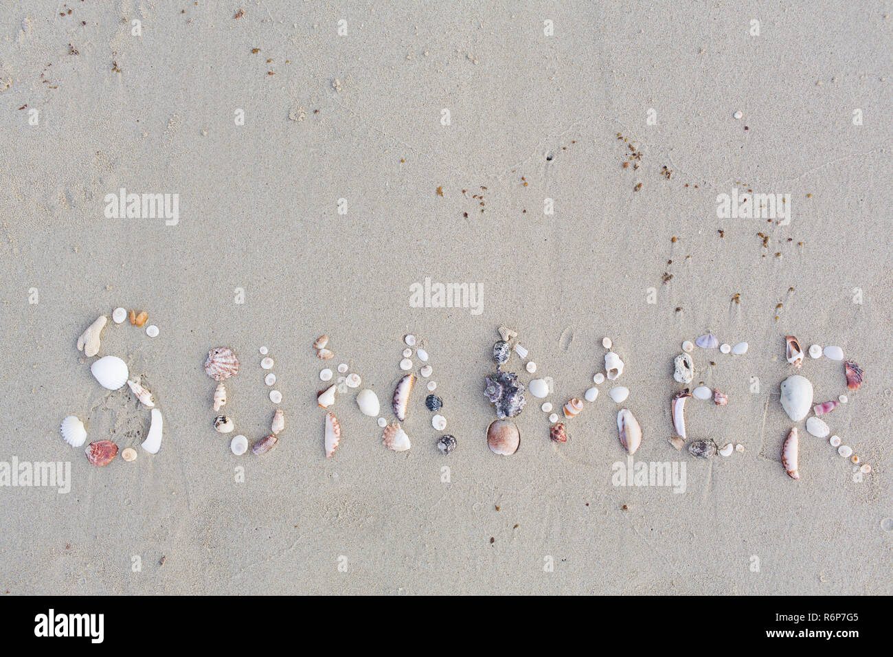 the word summer,written with shells in the sand Stock Photo - Alamy