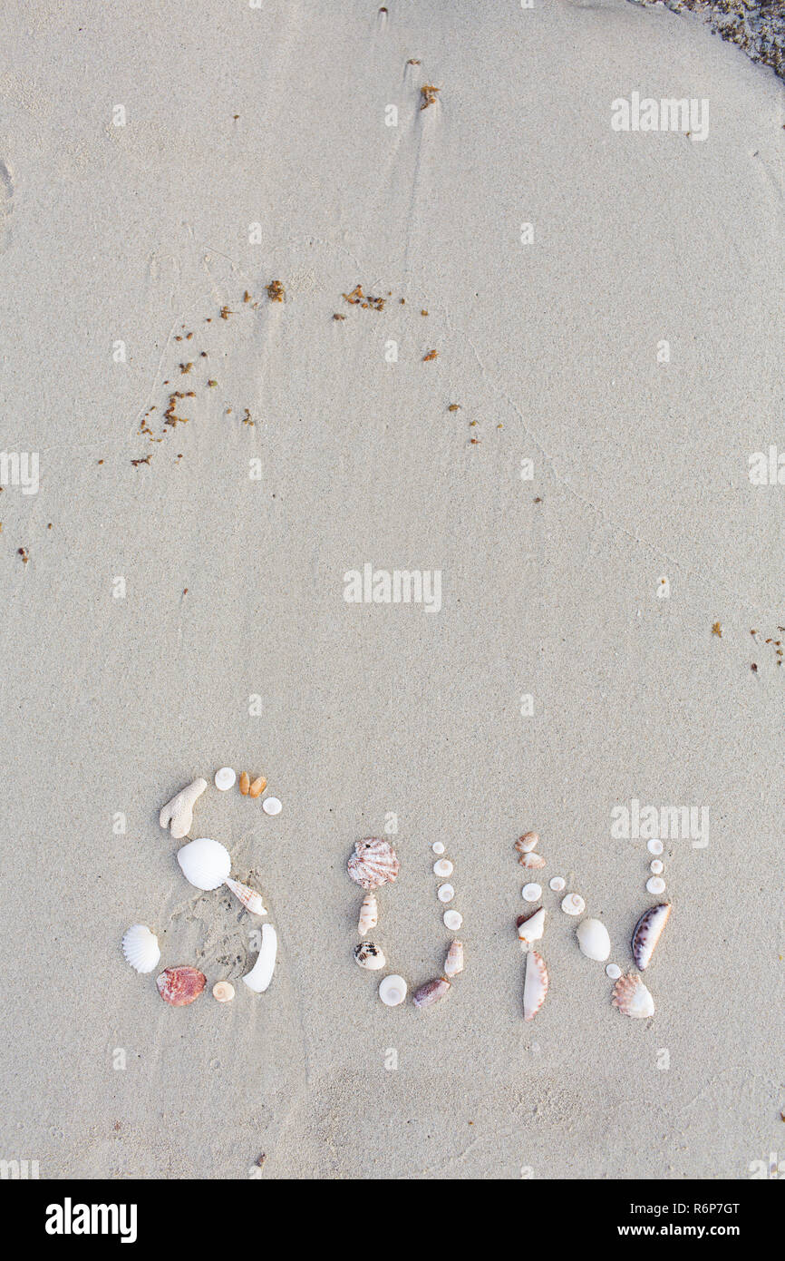 Word sun written shells hi-res stock photography and images - Alamy