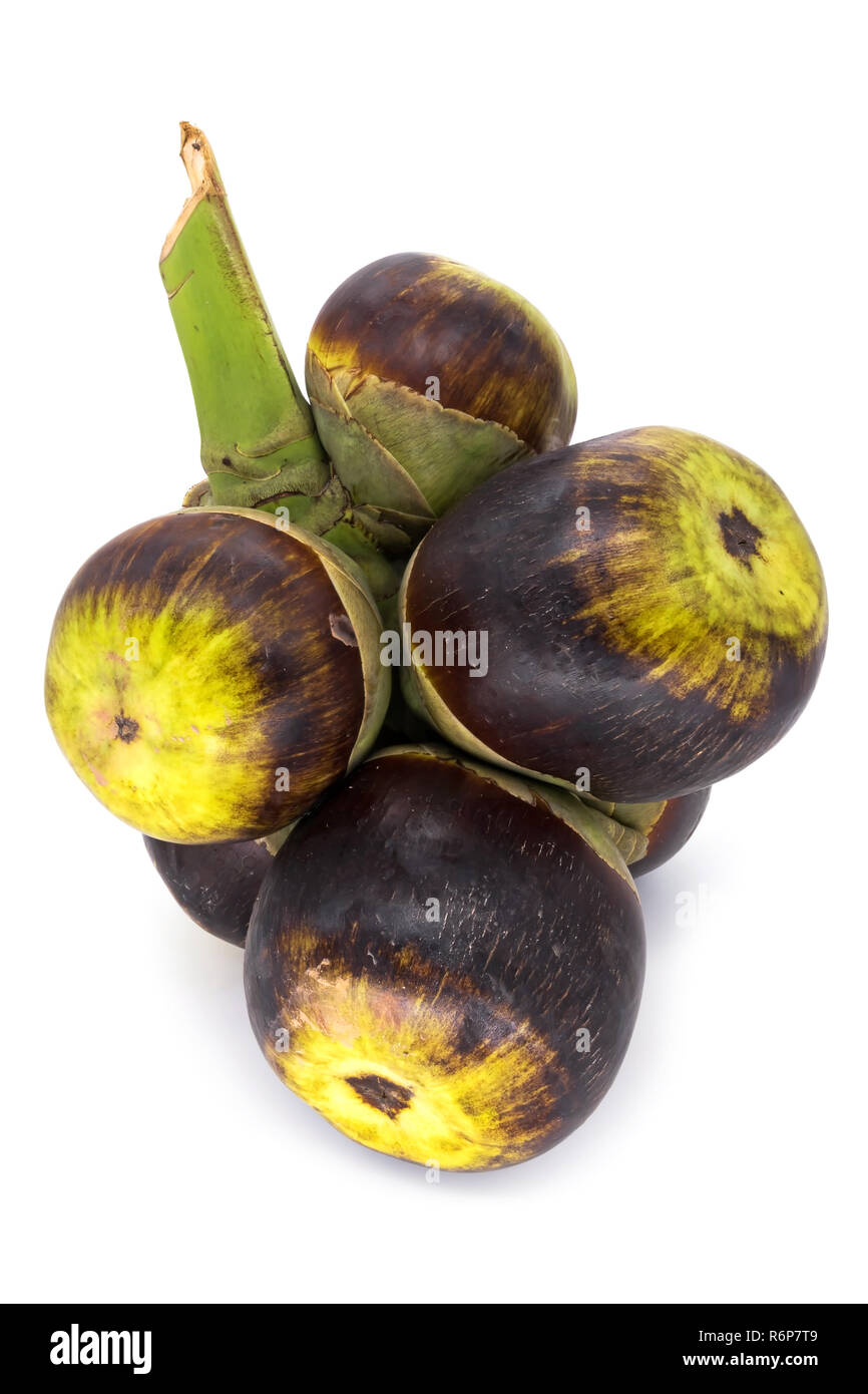 Palm tree nut hi-res stock photography and images - Alamy