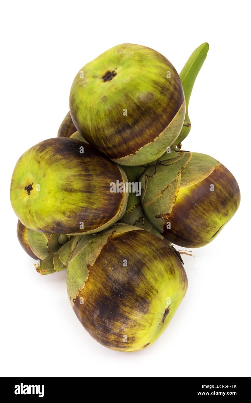 Palm tree nut hi-res stock photography and images - Alamy
