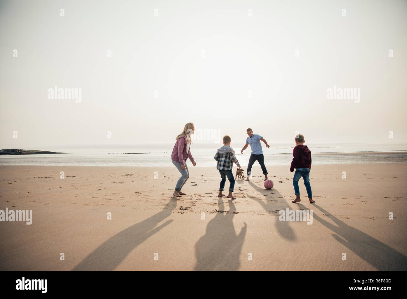 Family playing football with dog hi-res stock photography and images ...