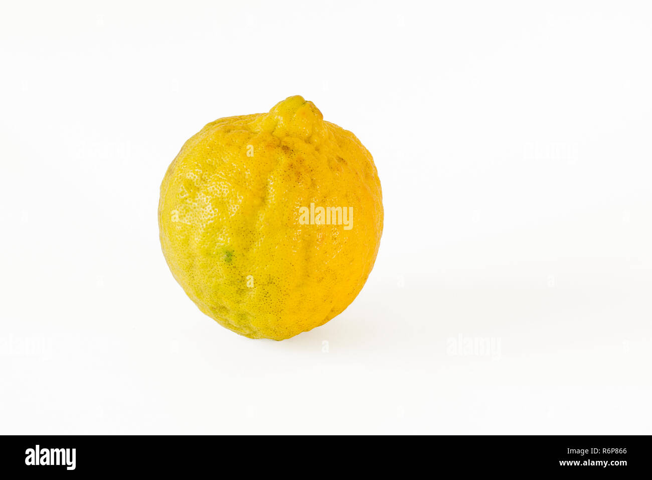 Flora kerala Cut Out Stock Images & Pictures - Alamy