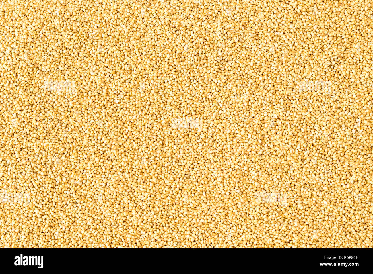 German millet hi-res stock photography and images - Alamy