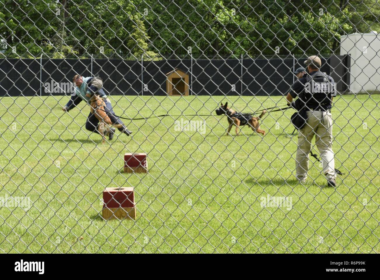 United States Secret Service photo of canine and handler during ...
