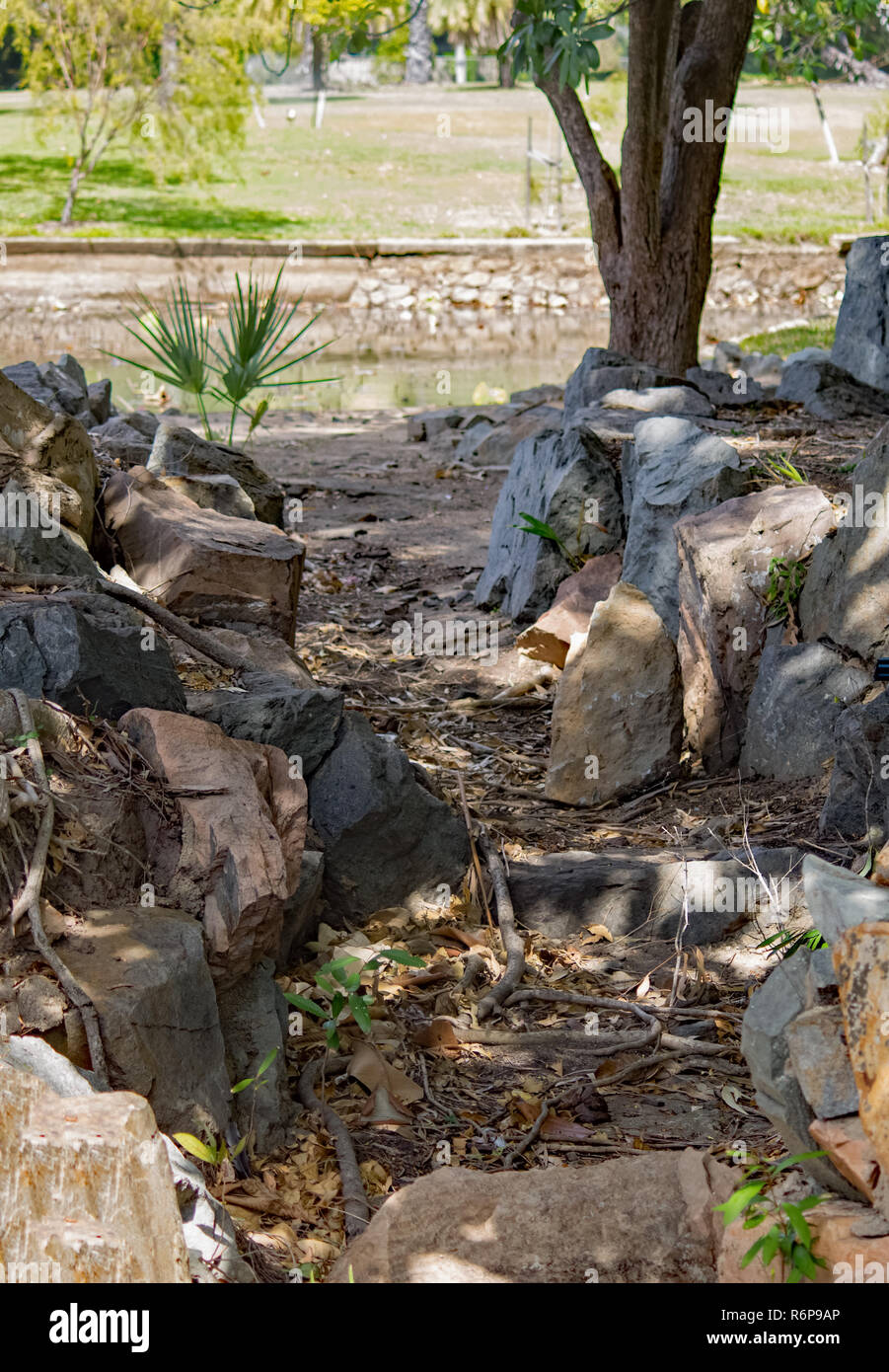 Stream garden and rock gully hi-res stock photography and images - Alamy