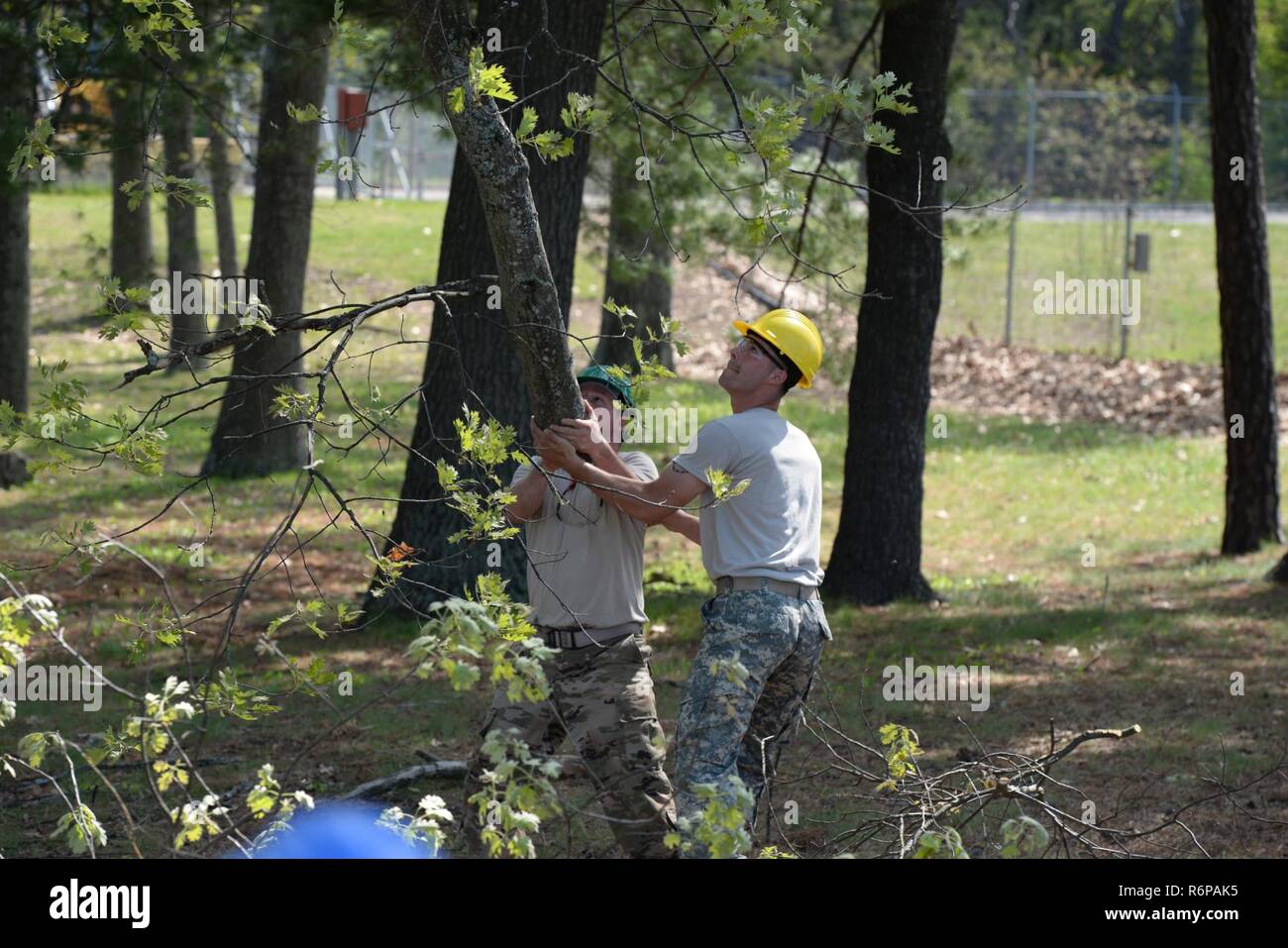 Thomas Companion, Army E4 carpentry and masonry Specialist, with Det 2 ...