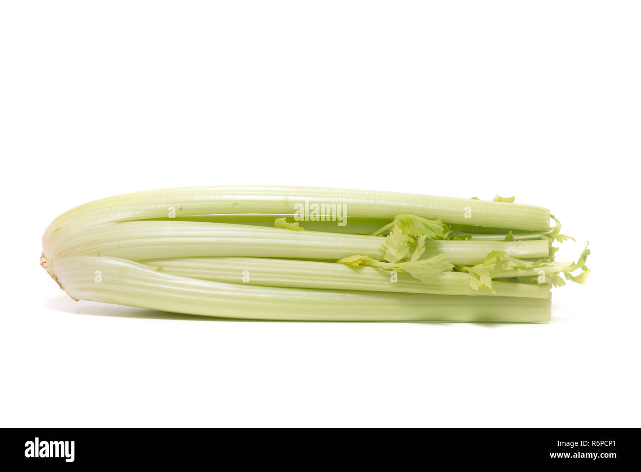 Single stick celery Cut Out Stock Images & Pictures - Alamy