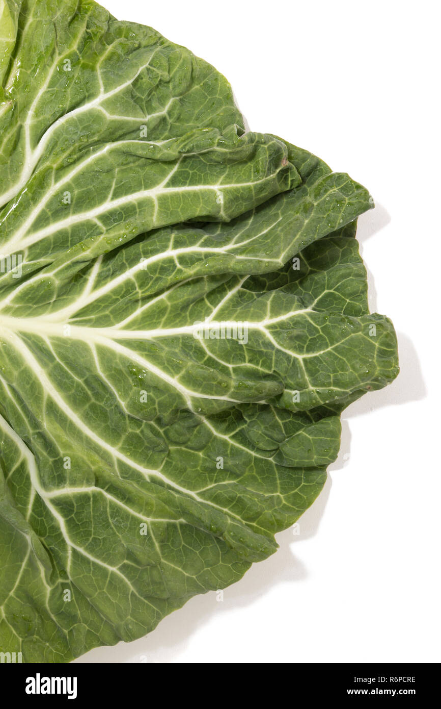 Green cabbage leaf Stock Photo - Alamy
