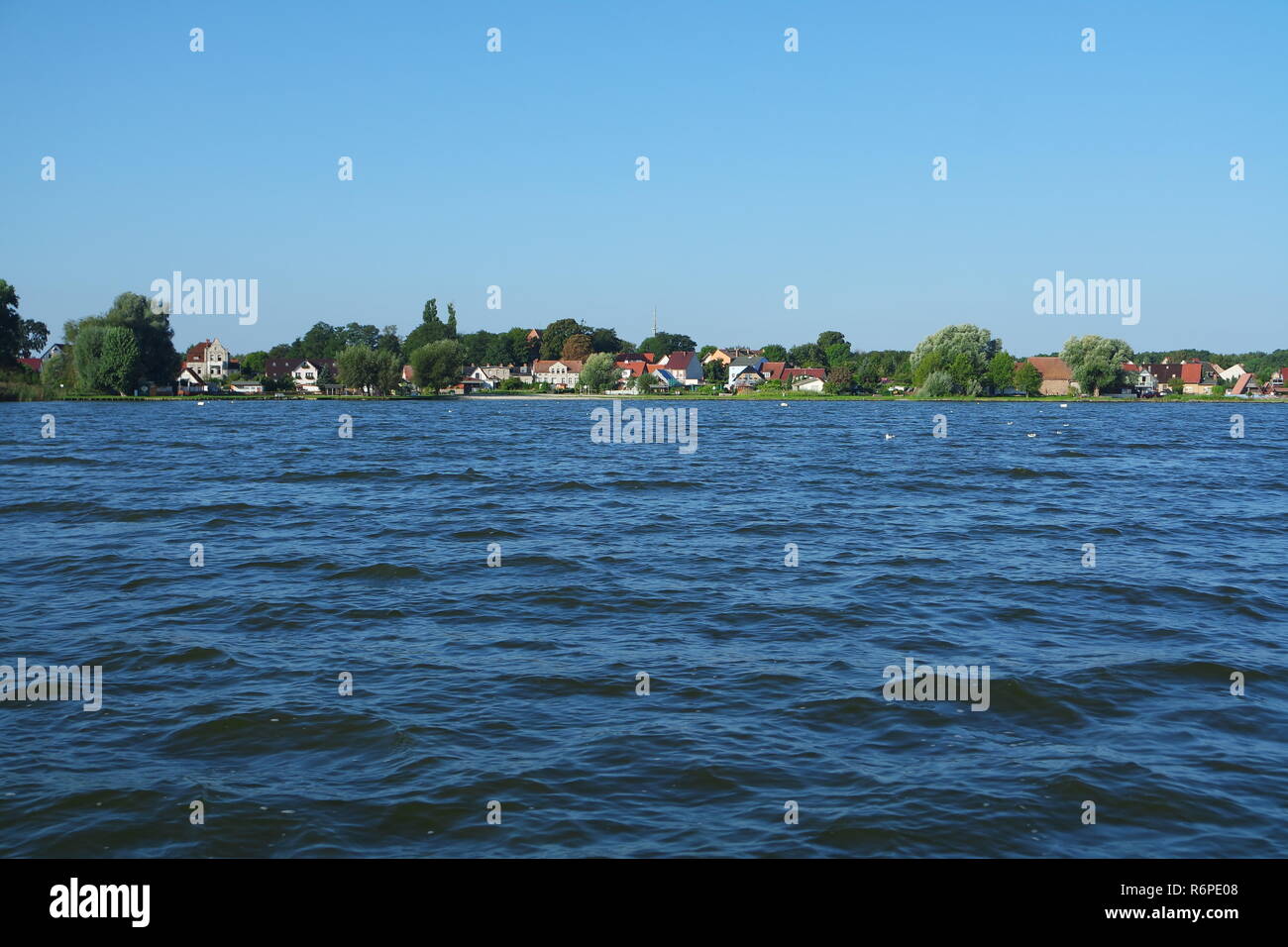 haff shore in front of altwarp,mecklenburg-vorpommern Stock Photo - Alamy