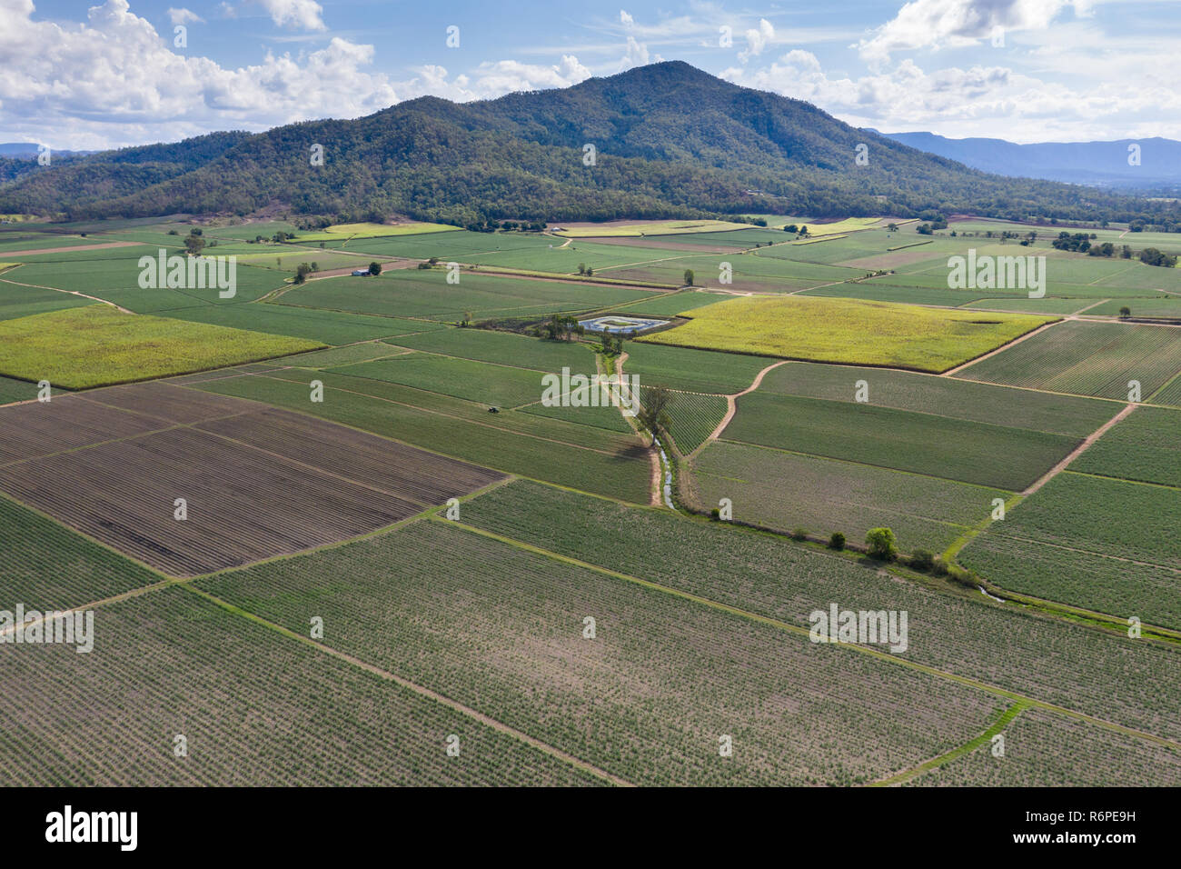 Sugar Cane Agriculture in Far North Queensland near Mackay. Sugar ...